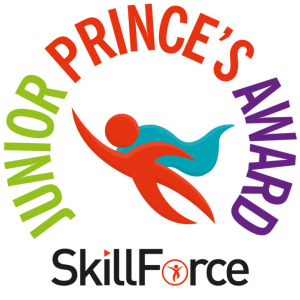 SkillForce Junior Prince’s Award || Awards Network